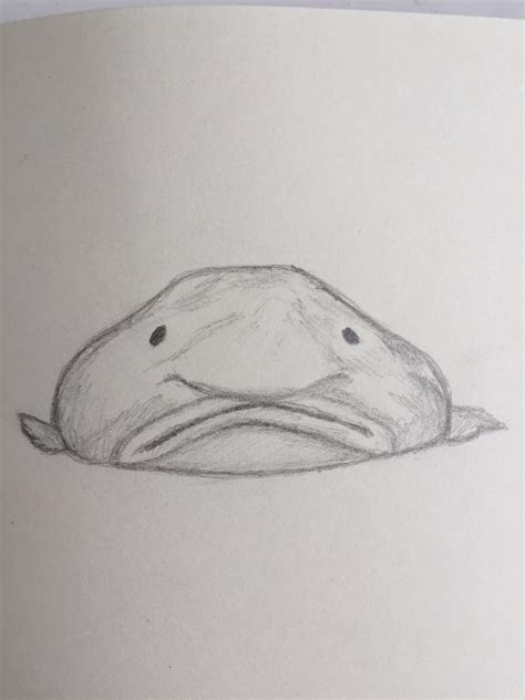 So I Drew This Blobfish A While Ago And I Thought It Would Be Maybe Funny If I Posted It Here