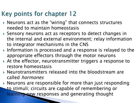 Chapter 12 Nervous System Cells Ppt Download