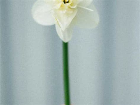 Complete Spring Boot Tutorial Guide For Beginners To Master The Spring