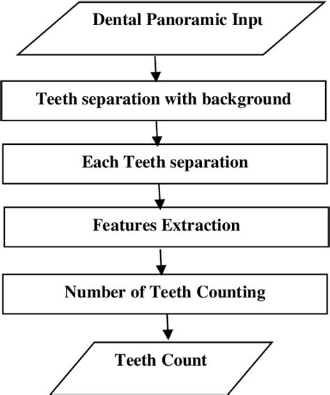Figure 3 From Segmentation And Counting The Number Of Teeth Panoramic Dental Image Semantic