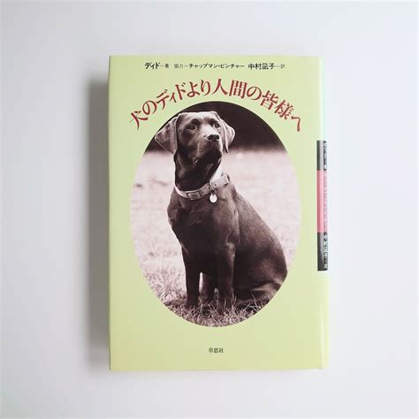 犬のディドより人間の皆様へ イヌグラシ