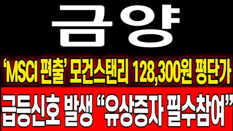 금양 주가 전망 중요 모건스탠리 평단가 작업중 추가매수 들어왔다 급등신호 놓치지마세요 금양 주식 분석 금양 유상증자 금양 신주인수권 금양 기장공장 Youtube