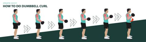 How To Do Dumbbell Curl Variations Proper Form Techniques Dumbbell Athletic Insight