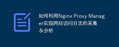 如何利用nginx Proxy Manager实现网站访问日志的采集与分析 Nginx Php中文网