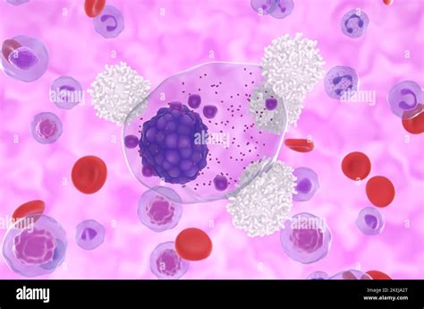 T Cells Attack Multiple Myeloma Cell In The Blood Flow Closeup View