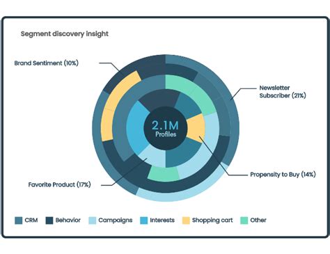 segmentation blueconic