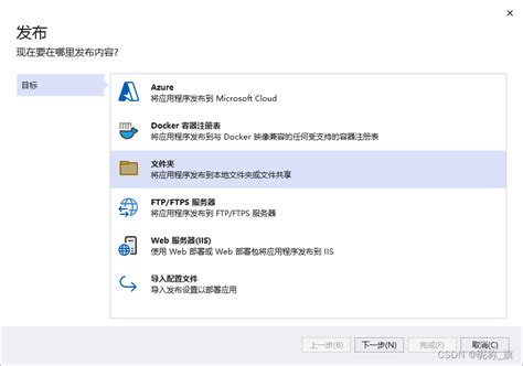 Net5 和 Net6 部署到 Iis 完整步骤dotnethosting Csdn博客