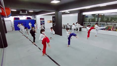 예능익스트림태권도 태권도 체조 핸드스프링 기본동작 체력 태권도🥋🥋🥋 골반과 허리 사용해서 동작만들기 무릎 사용