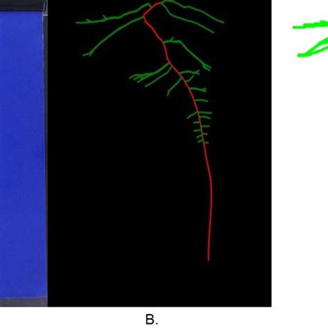 output segmentation results analysis a input image b ground truth
