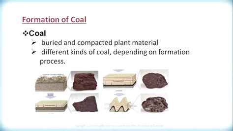 Steps Of Coal Formation