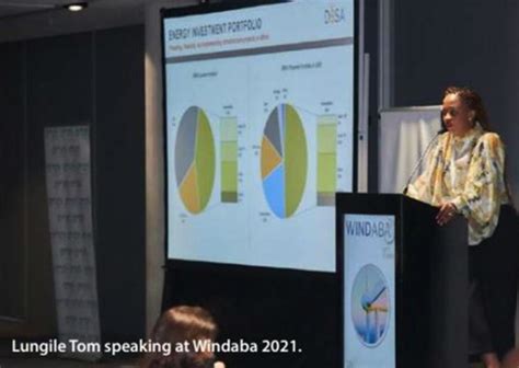 The Dbsa Developing Development Pag82energy