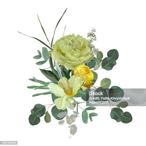 꽃 꽃다발 디자인 정원 노란색 로즈 왁스 꽃 모란 튤립 유칼립투스 가지 녹지 잎 웨딩 초대 카드 수채화 디자이너 요소 세트 0명에 대한 스톡 벡터 아트 및 기타 이미지