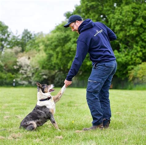 Bbf Back British Farming