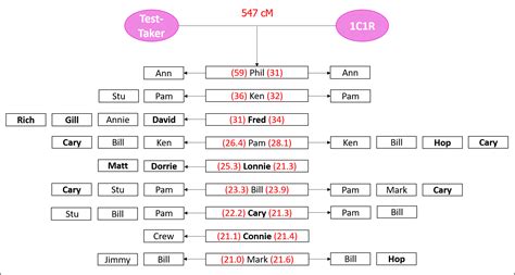 Dna Match Spreadsheet Throughout Clustering Shared Matches The Genetic Genealogist — Db
