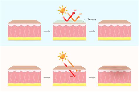 자외선 차단제와 비 자외선 차단제 피부의 차이 Uva 및 Uvb 광선으로부터 피부를 보호합니다 멜라닌에 대한 스톡 벡터 아트 및