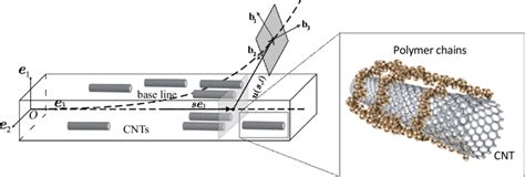 Carbon Nanotube Nanocomposite Beam Model The Arclength Along The Base Download Scientific