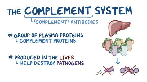 The Complement System In Immunity Rathbiotaclan