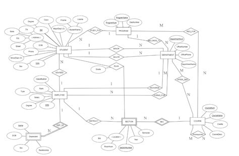 Solved Design The Conceptual Schema Of The University Chegg Com