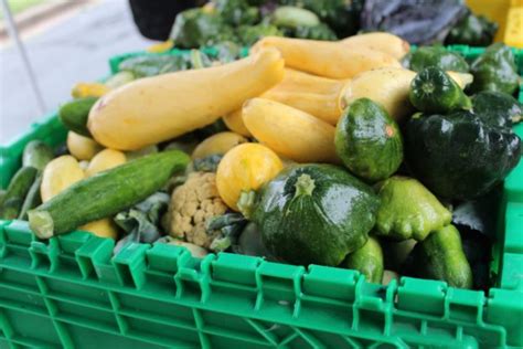 Usda Food For Others Website