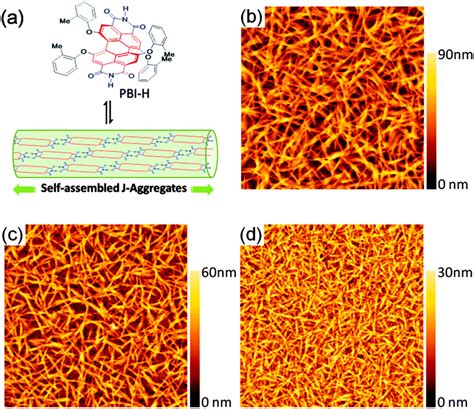 Self Assembled Perylene Bisimide J Aggregates As Promising Cathode Modifiers For Highly