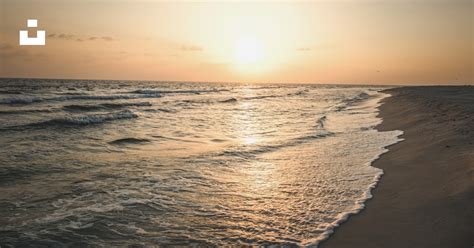 해질녘 바다 위를 날아다니는 새 사진 Unsplash의 무료 자연 이미지