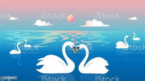 부드러운 분홍색 일몰을 배경으로 사랑에 빠진 사랑스러운 백조가있는 크고 아름다운 호수 만화에 대한 스톡 벡터 아트 및 기타 이미지 만화 0명 개념 Istock