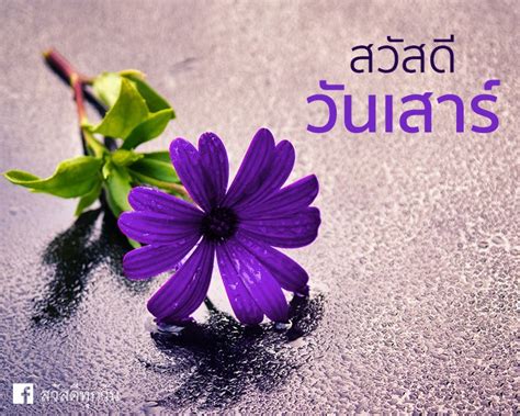 สวัสดีทุกวัน Morning Saturday สวัสดีวันเสาร์