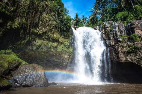 Wildlife Sanctuaries To Visit Near Tegenungan Waterfall Ubud In 2024
