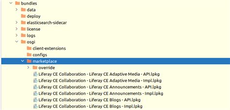 Liferay Module Jsp Override