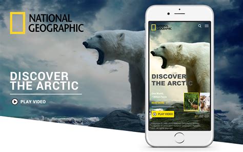 Mobile App Ui On Behance