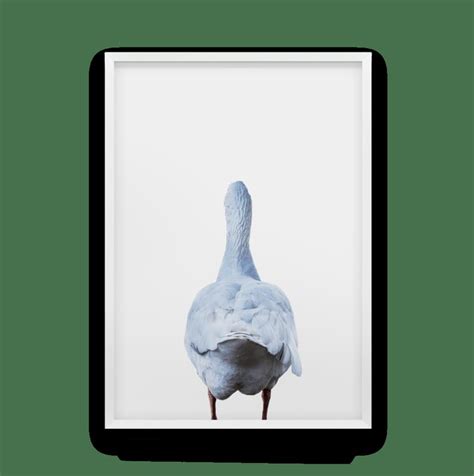 Постер на стену гусь сзади — ціна 637 грн у каталозі Постери Купити товари для дому та побуту за