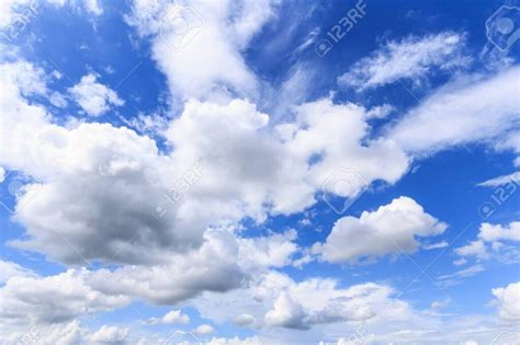 El Mejor Amigo De Bart Simpson ¡descubre Quién Es