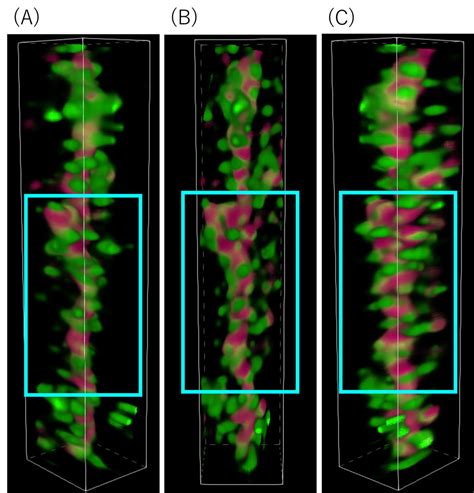 3d Super Resolution Imaging Of Myelin Structure In Human Ipsc Derived