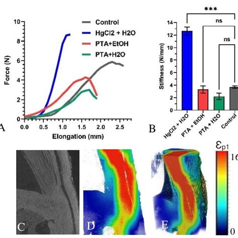 A Force Elongation Curve And B Stiffness For Different Contrast