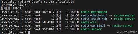 Linux下安装redis超详细linux安装redis Csdn博客 Linux下安装redis超详细linux安装redis Csdn博客