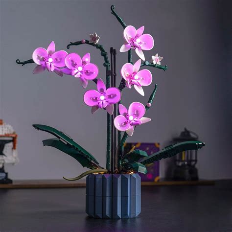 ასაწყობი ყვავილი Orchid ორქიდეა 608 Pcs Velvet Ge