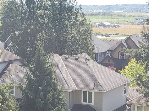Best Asphalt Roof Shingles Srs Roofing And Exteriors