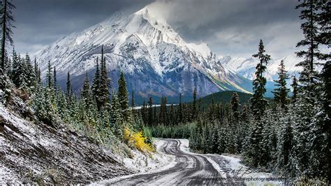 Alberta Landscapes Part I Robert Berdan The Canadian Nature Photographer