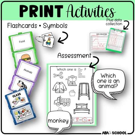 Labeling Class Feature Function Class Activity Aba In School