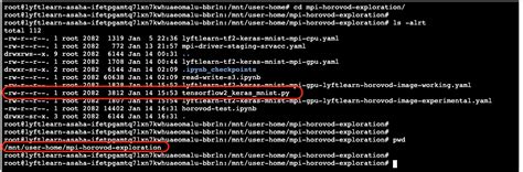 Mpi Operator Cannot Spawn Distributed Jobs From Python Files Located On Pod Mounted Volumes