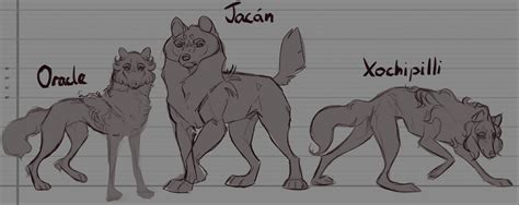 Koilada Professional Filmographer Deviantart