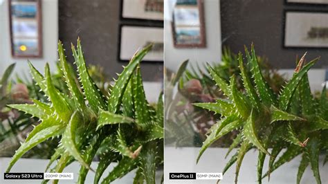 Samsung Galaxy S Ultra Versus Oneplus Camera Comparison Not Even Close Phandroid