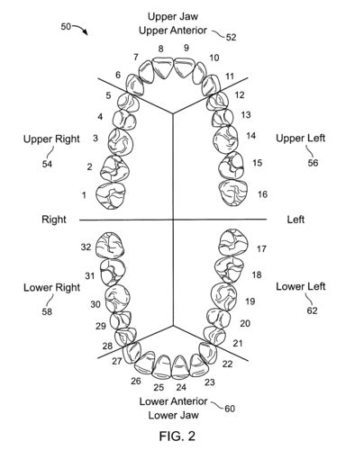 Calculus Classification Flashcards Quizlet