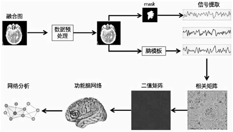 一种基于种子点连接的脑功能网络构建方法及系统