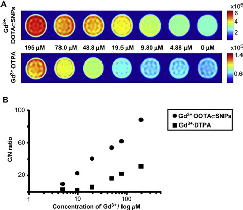 Lymph Node Drainage Semantic Scholar
