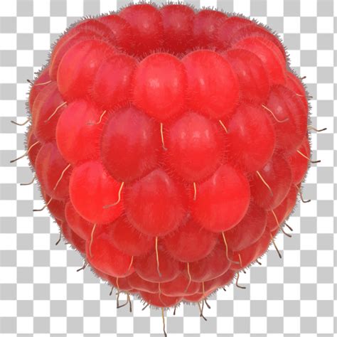 Free Svg Raspberry Image Nohat Cc