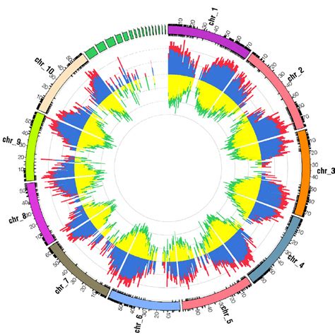 Switchgrass Expressed Sequence Tags Ests Mapped To The Sorghum Download Scientific Diagram