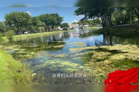 李景亮与穆斯里穆赛前的日常生活和训练 穆斯里穆 李景亮 训练