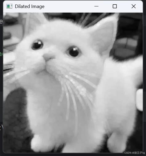 Opencv（5）：图像形态学操作