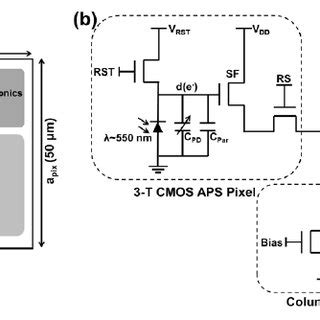 PDF 50 μm pixel pitch wafer scale CMOS active pixel sensor x ray detector for digital breast